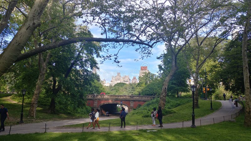 Central Park New York Buildings View between a Park Trees Editorial ...