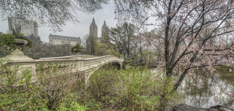 Central Park, New York City Stock Photo - Image of city, bridge: 53740186