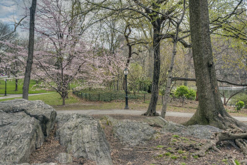 Central Park, New York City Early Spring Stock Photo - Image of york ...