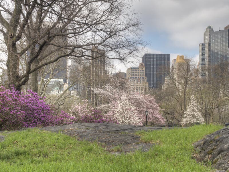 Central Park, New York City Spring Stock Image - Image of exterior ...