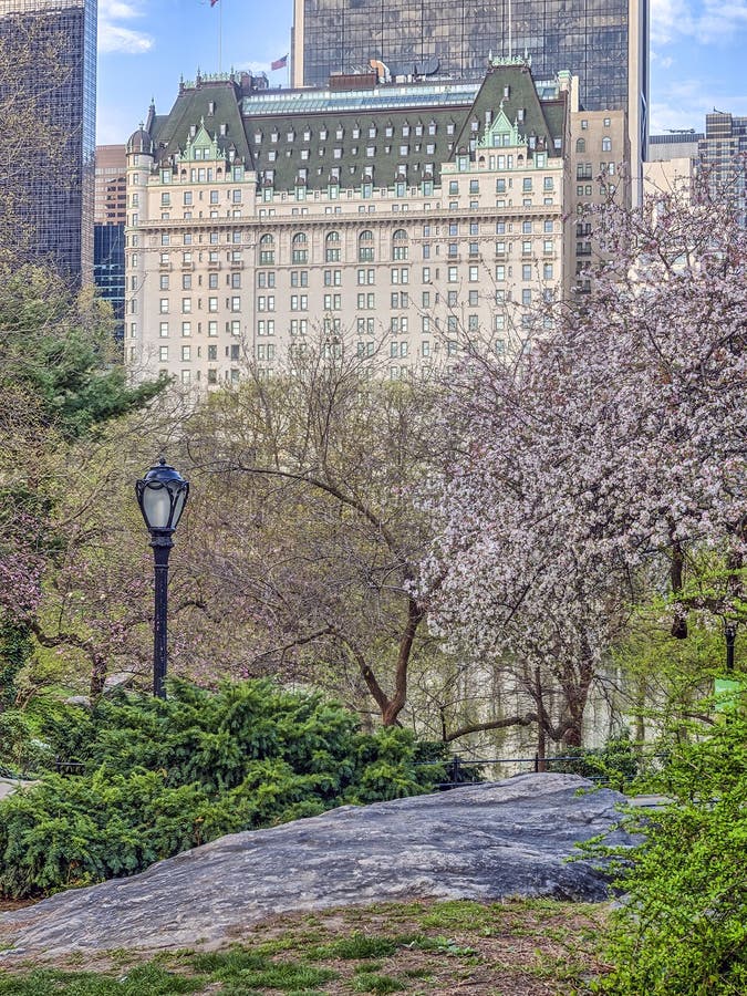 Central Park, New York City Spring Stock Photo - Image of central, york ...