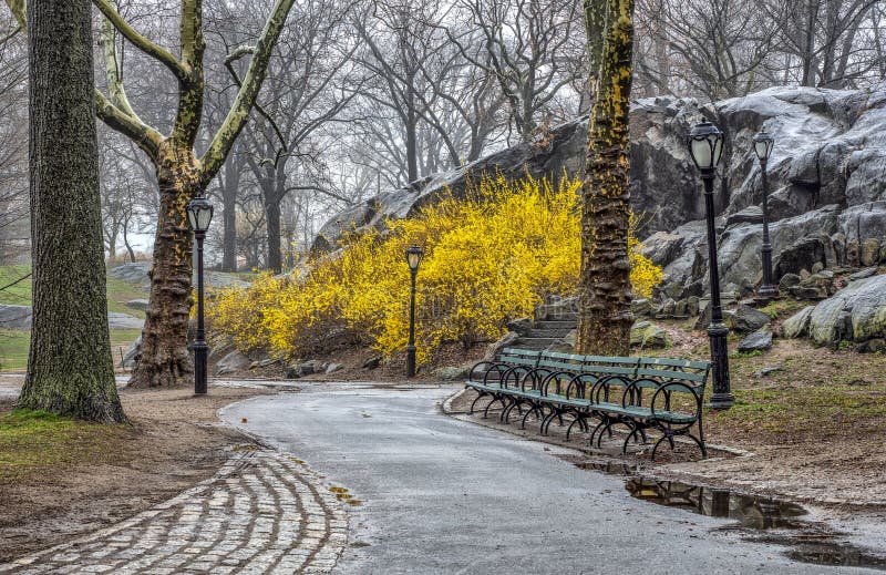 Central Park, New York City in Spring Stock Photo - Image of mist ...
