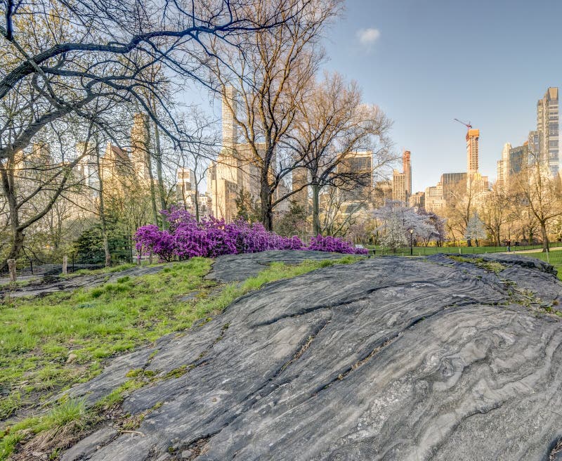 Central Park, New York City in Spring Stock Photo - Image of park ...