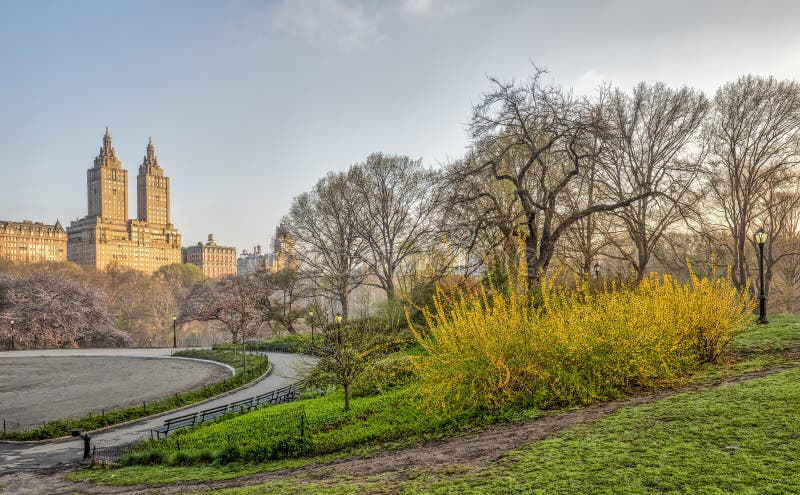 Central Park, New York City in Spring Stock Image - Image of cityscrape ...