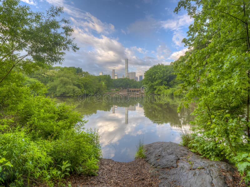 Central Park, New York City in Spring Stock Photo - Image of flowers ...
