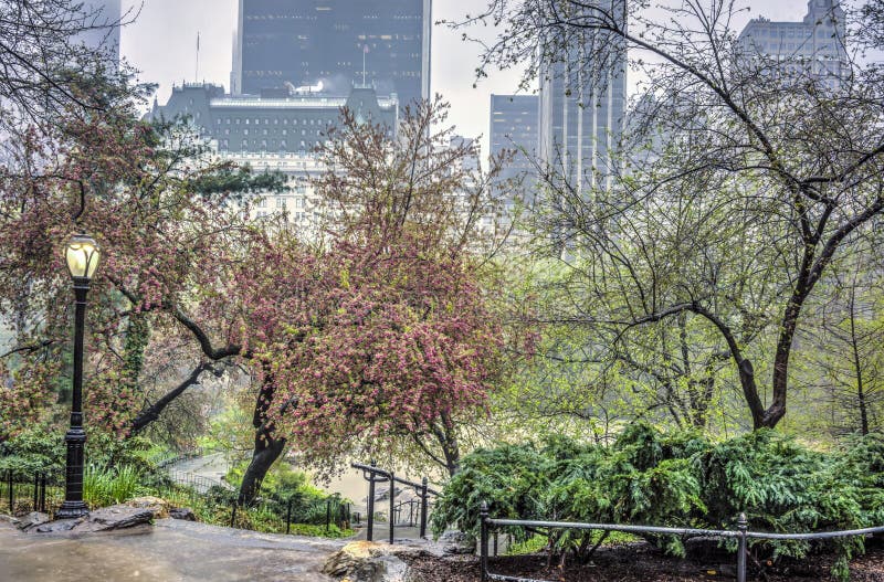 Central Park, New York City during Spring Rain Stock Photo - Image of ...