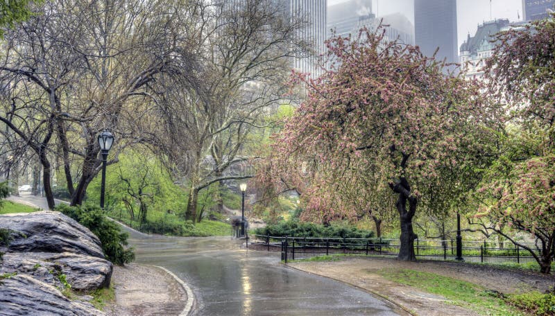Central Park, New York City during Spring Rain Stock Image - Image of ...