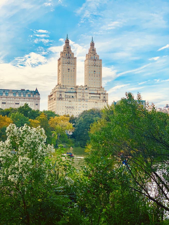 Central Park editorial stock image. Image of green, park - 144548054