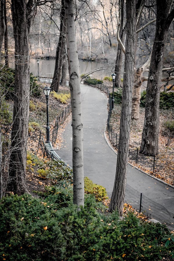 Central Park stock photo. Image of view, famous, landscape - 48038962