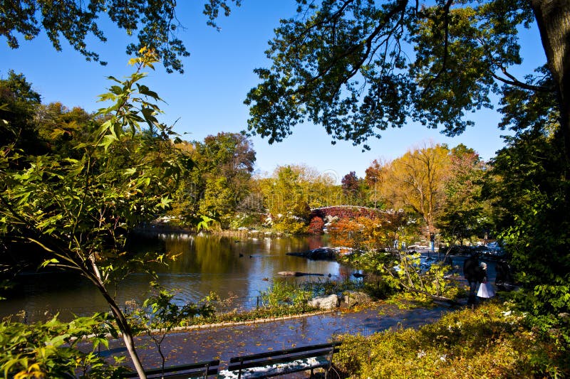 Central park in October stock image. Image of bank, york - 21894131