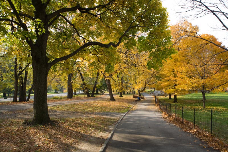CENTRAL PARK PATH stock image. Image of leaves, vegetation - 7568885