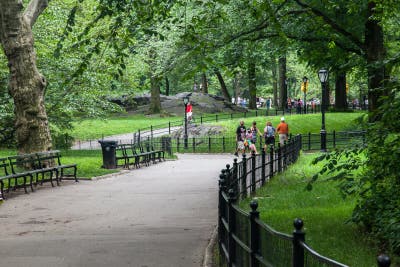 Central Park Path New York City Editorial Image - Image of city, park ...