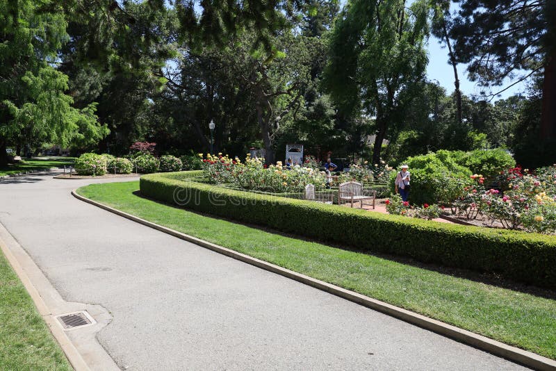 Central Park San Mateo California Editorial Stock Image - Image of park ...