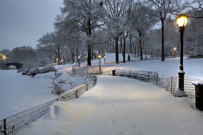 Central Park in snow storm stock photo. Image of city - 22050020