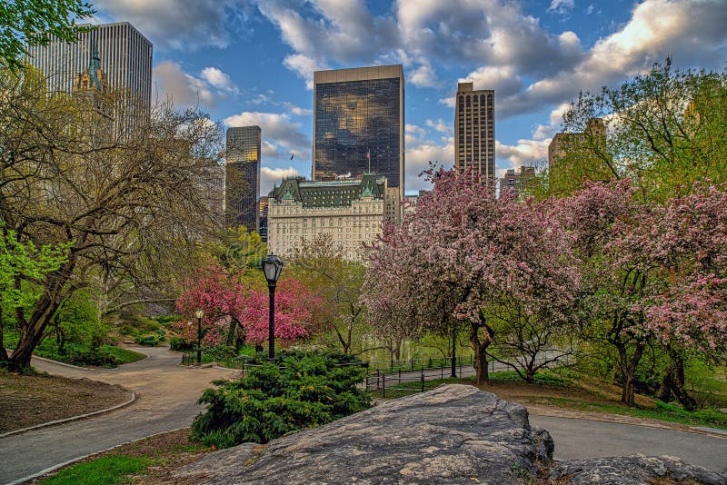 Central Park in Spring on Cloudy Day Stock Photo - Image of landscape ...