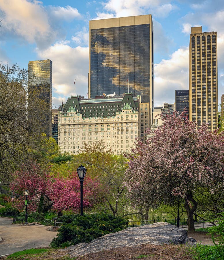 Central Park in Spring on Cloudy Day Stock Image - Image of kwanzan ...
