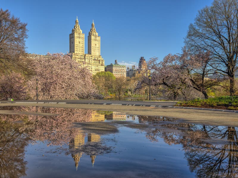 Central Park in spring stock image. Image of landscape - 160821815