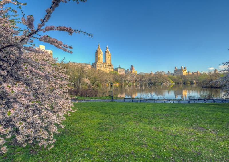 Central Park in spring stock image. Image of flowers - 160821841