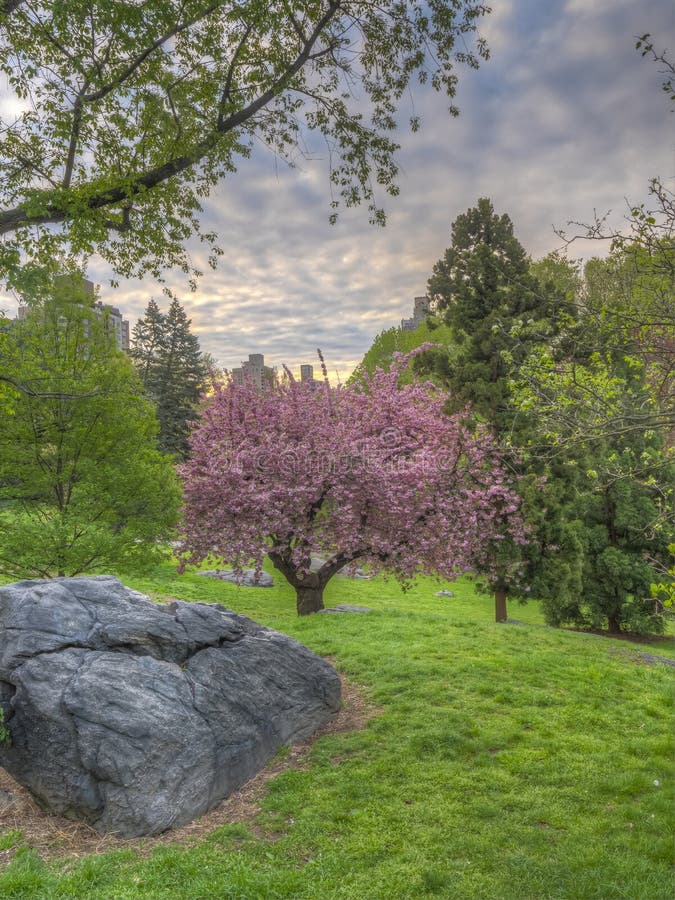 Central Park in spring stock image. Image of island - 165201337