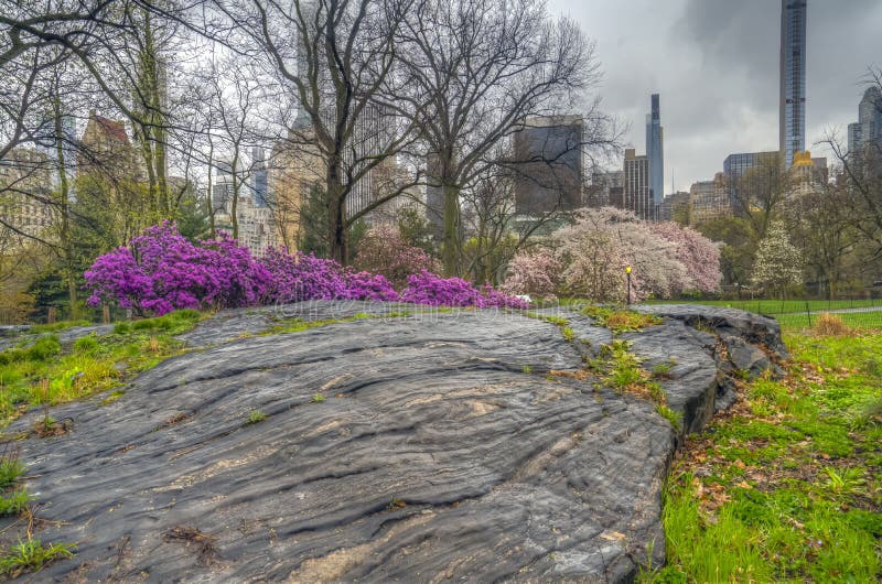 Central Park in spring stock photo. Image of island - 178824078