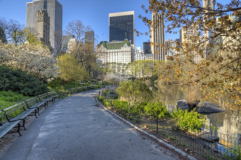 Central Park in spring stock image. Image of central - 202109295