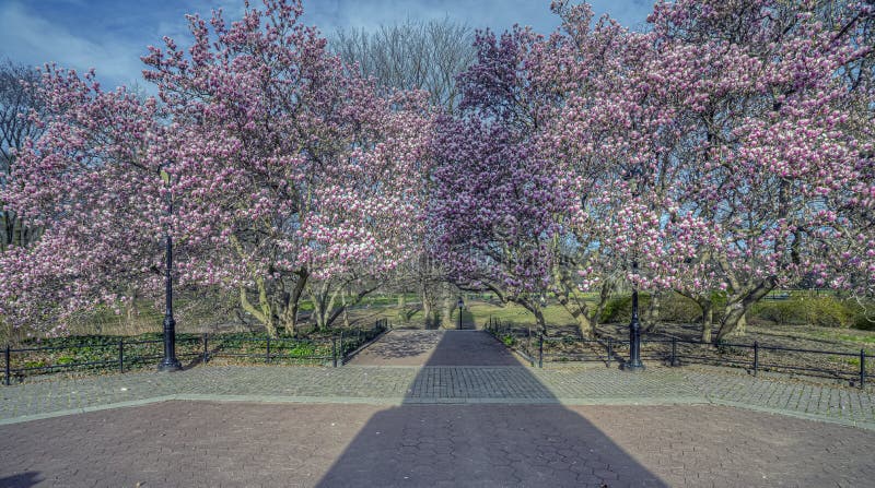 Central Park in spring stock image. Image of island - 202109345