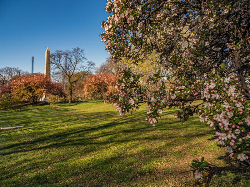 Central Park in spring stock photo. Image of central - 248321862