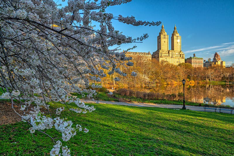 Central Park in spring stock image. Image of green, trees - 273611001