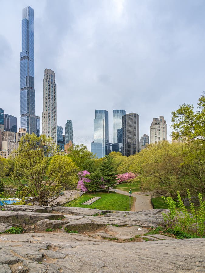 Central Park in spring stock photo. Image of plants - 275753314