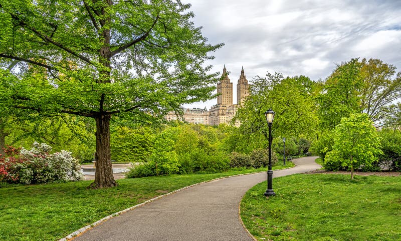 Central Park in spring stock photo. Image of central - 277580328