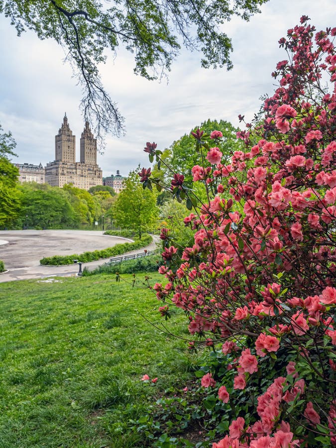 Central Park in spring stock photo. Image of island - 278178162