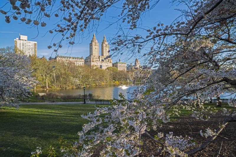 Central Park spring stock image. Image of york, manhattan - 54535201