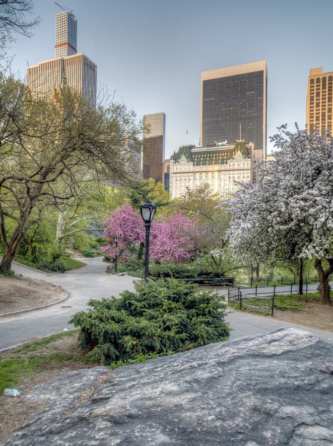 Central Park spring stock image. Image of city, manhattan - 55329393