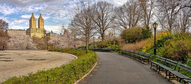 Central Park in spring stock photo. Image of urban, york - 265718148