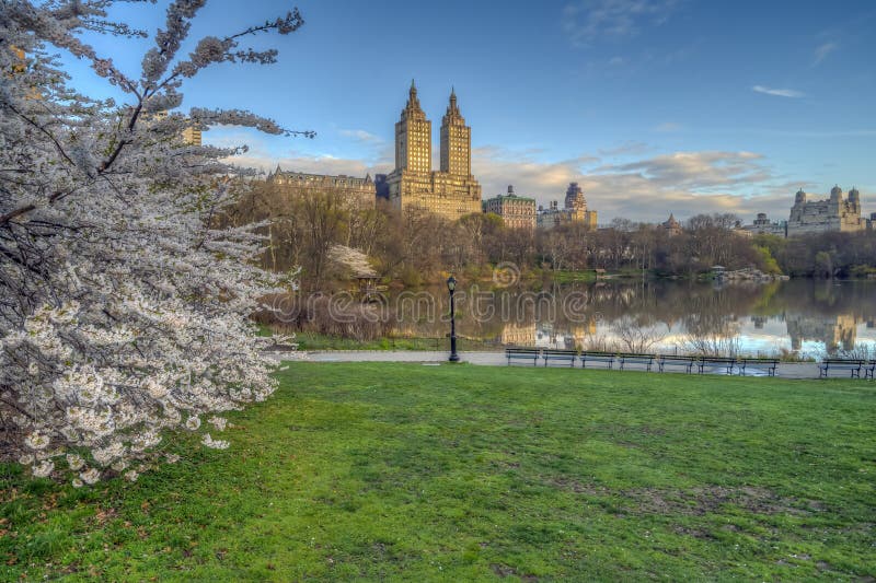 Central Park in spring stock photo. Image of manhattan - 179668282