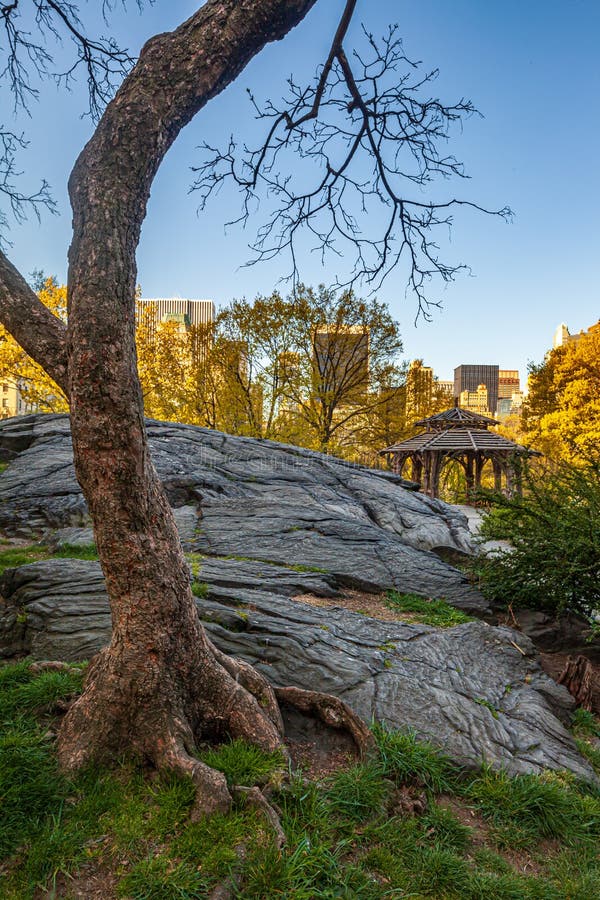 Central Park in spring stock image. Image of landscape - 218203411