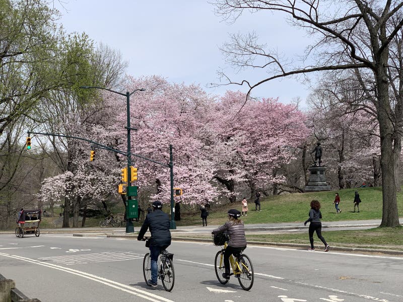 Central Park in the Spring, New York City, USA. Editorial Stock Photo ...