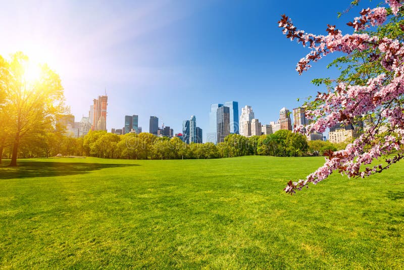 Central Park in spring stock image. Image of park, season - 13322017