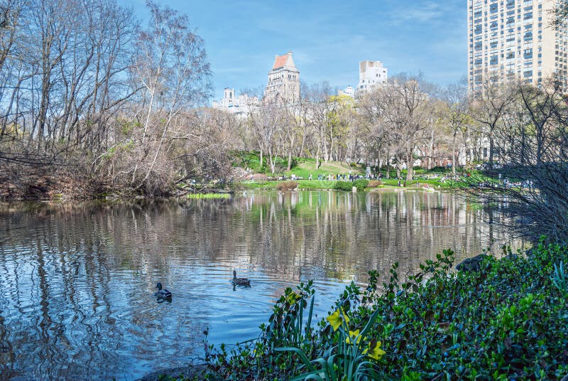 Central Park Spring stock image. Image of architecture - 373869509