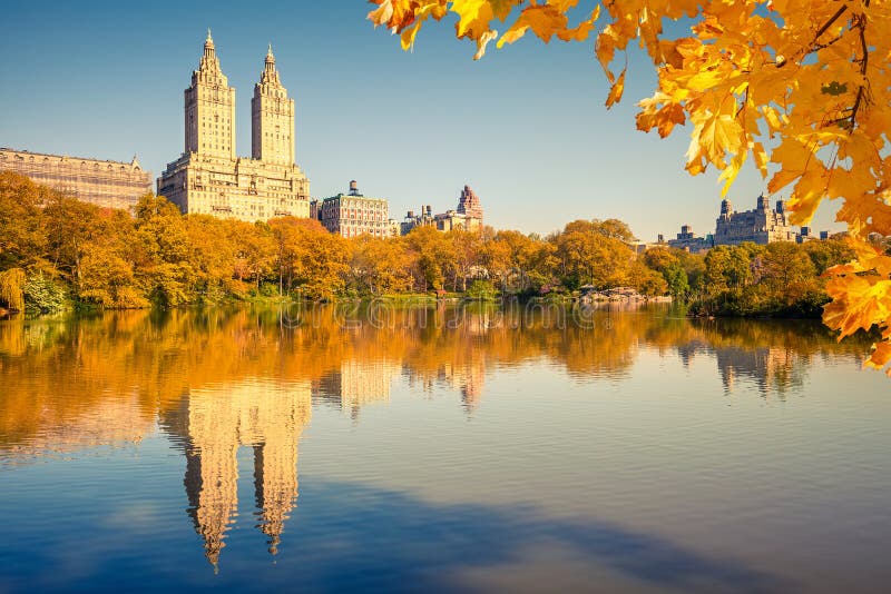 Central park at sunny day stock photo. Image of manhattan - 44834742