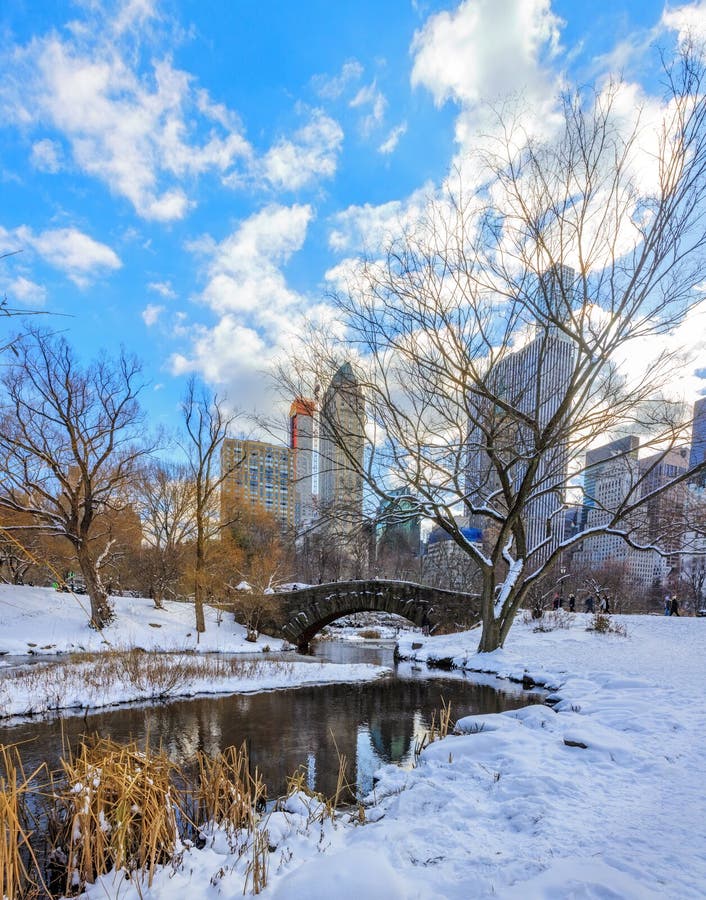 Central Park in Winter stock image. Image of lake, outdoors - 84355895