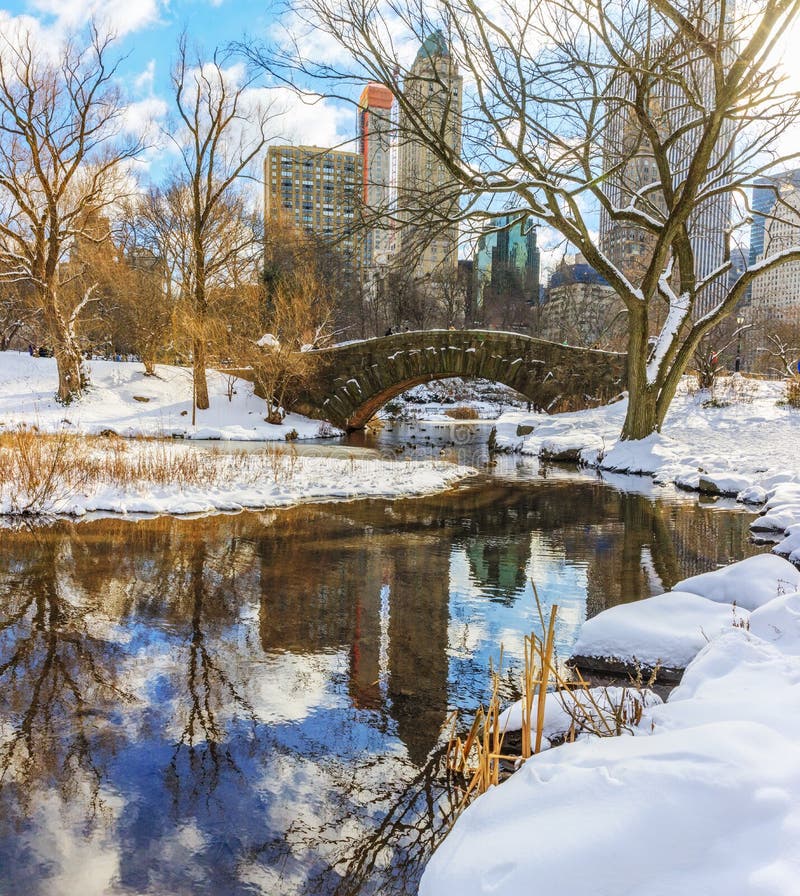 Central Park in Winter stock photo. Image of manhattan - 84356586