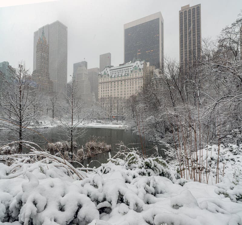 Central Park in Winter Snow Storm Editorial Image - Image of white ...