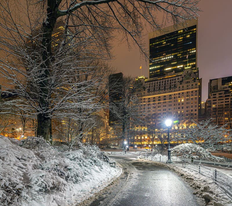 Central Park in Winter Snow Storm Editorial Photo - Image of frozen ...
