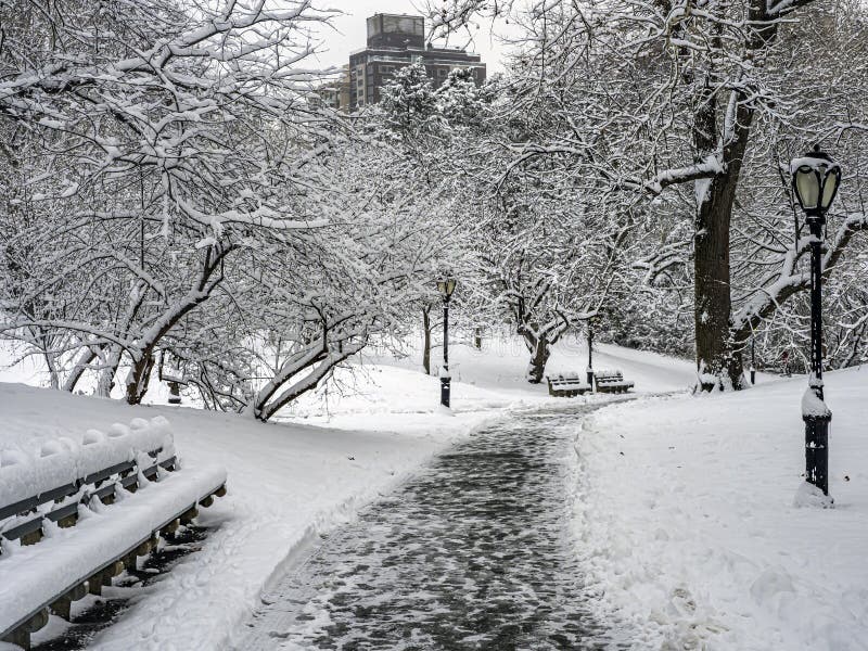 Central Park in Winter during Snow Storm Stock Image - Image of cold ...