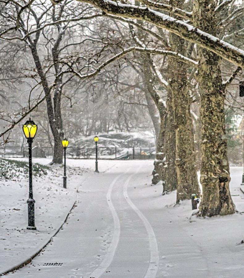 Central Park in Winter , during Snow Storm Stock Photo - Image of park ...