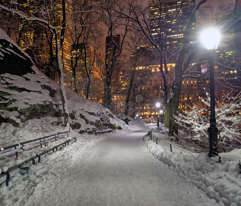 Central Park in Winter Snow Storm Stock Image - Image of dawn, flakes ...