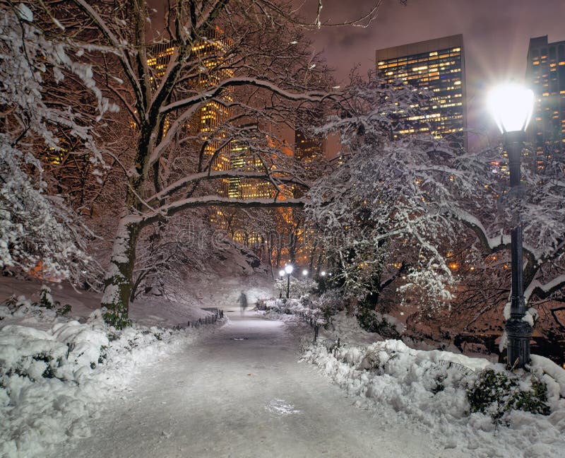Central Park in Winter Snow Storm Stock Image - Image of freeze ...