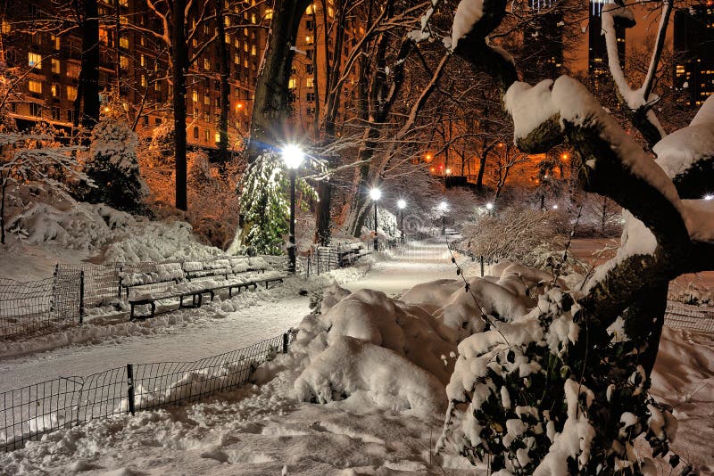 Central Park in Winter Snow Storm Stock Image - Image of side, garden: 265718141