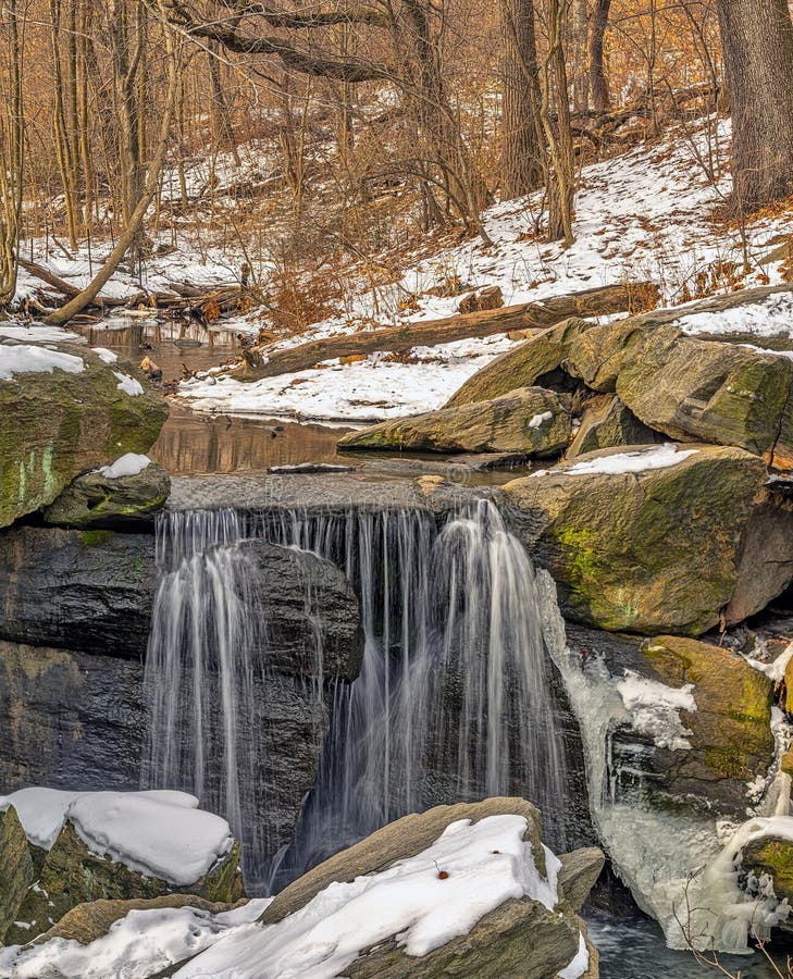 Central Park in winter stock photo. Image of frozen - 286633234